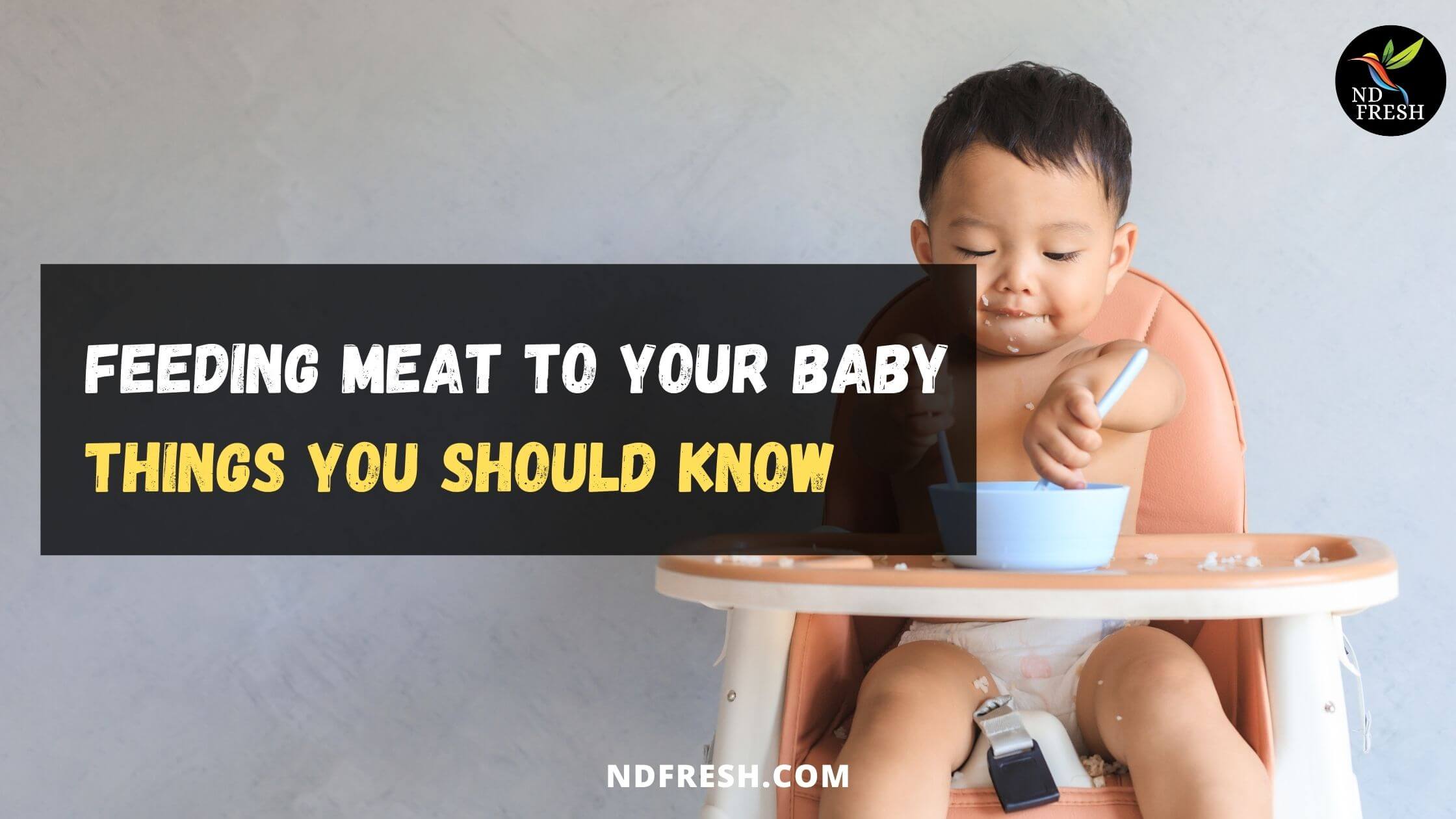 Feeding Meat to Your Baby, Things You Should Know – NDFRESH